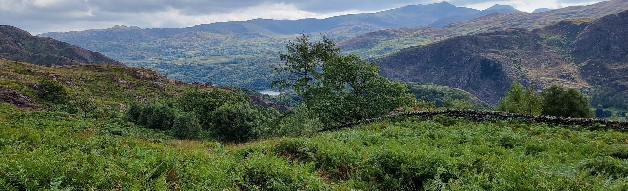 Yr-Aran and Beddgelert via Rhyd Ddu Path: 7 Reviews, Map - Gwynedd ...