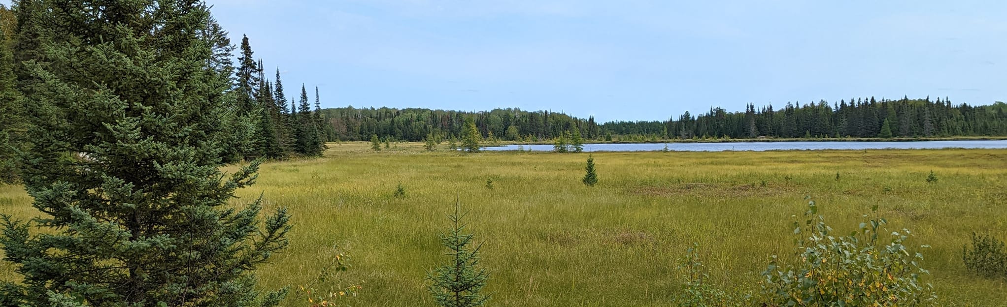 Cruiser Lake Trail, Minnesota - 42 Reviews, Map | AllTrails