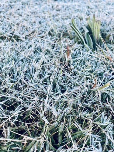 Best Hikes and Trails in Alexander Park | AllTrails