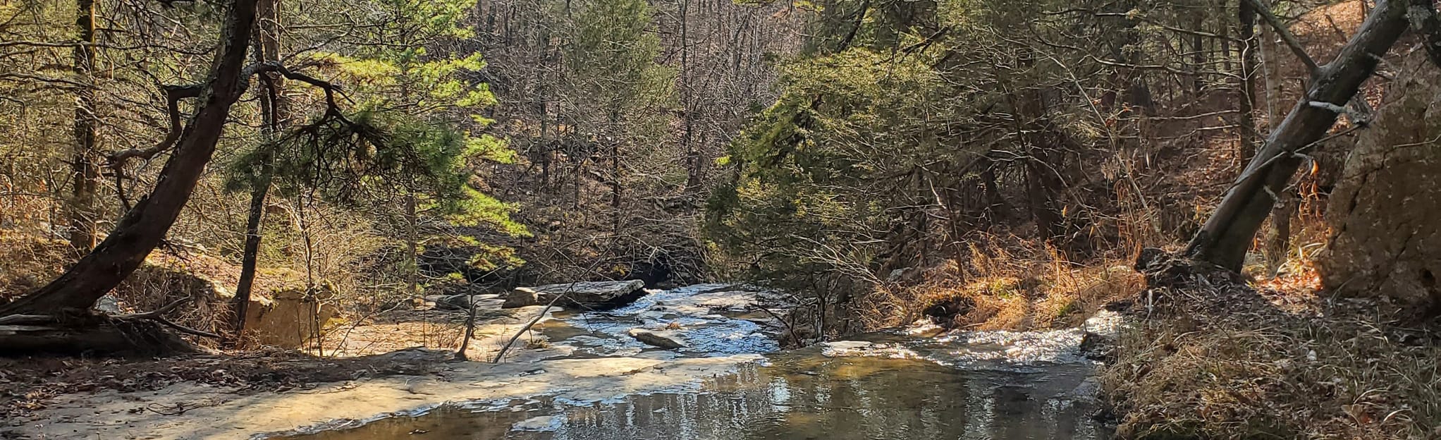 White Oak Creek and Falls, Arkansas - 116 Reviews, Map | AllTrails
