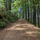 Rohner Park Loop, California - 217 Reviews, Map | AllTrails