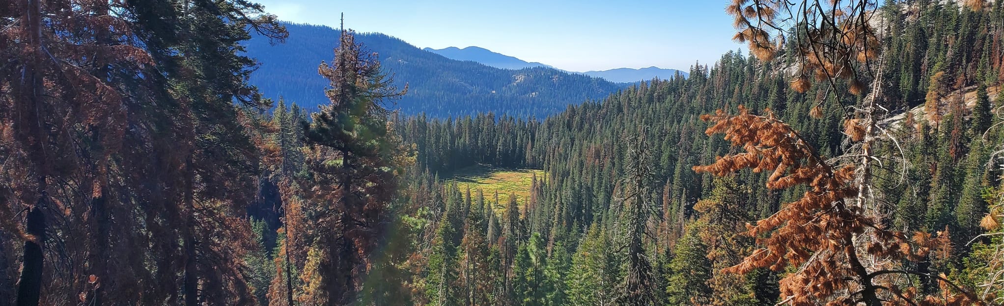 Cahoon Gap via Wuksachi and Twin Lakes Trail, California - 66 Reviews ...