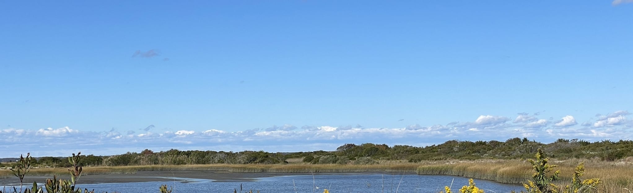 Stone Harbor Point, New Jersey - 69 Reviews, Map | AllTrails