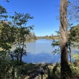 Gunter Hill Campground Loop, Alabama - 32 Reviews, Map | AllTrails