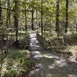 Gunter Hill Campground Loop, Alabama - 32 Reviews, Map | AllTrails