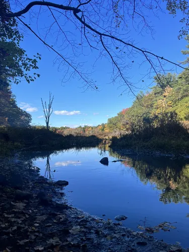 10 Best Hikes and Trails in Breakheart Reservation | AllTrails