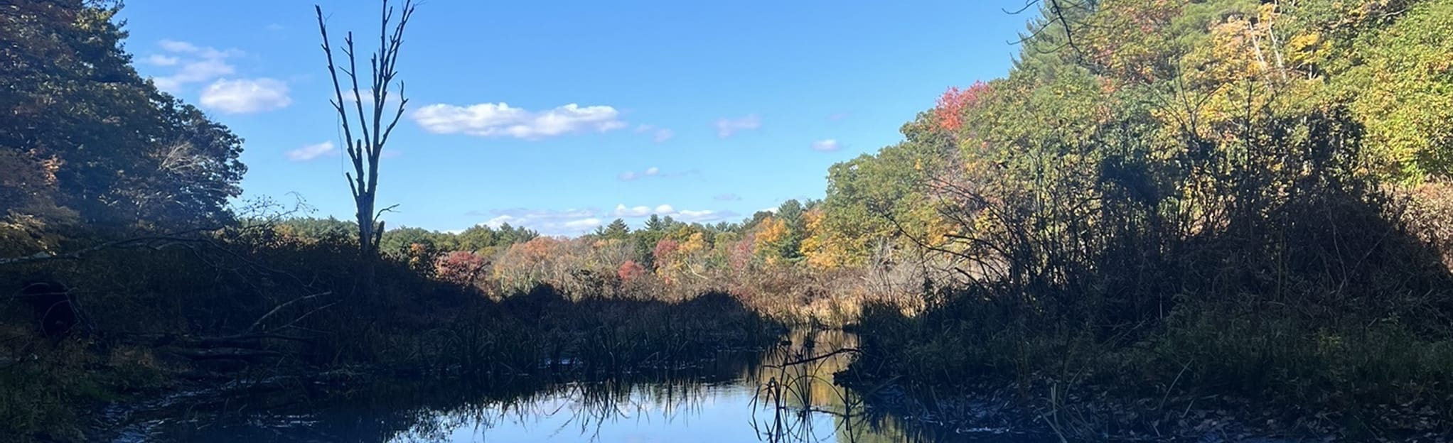 Saugus River Trail to Blue and Yellow Blaze Loop, Massachusetts - 224 ...