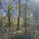 Roubidoux Park, Roy Laughlin Park, and Roubidoux Spring, Missouri - 81 ...