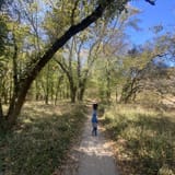 Roubidoux Park, Roy Laughlin Park, and Roubidoux Spring, Missouri - 81 ...