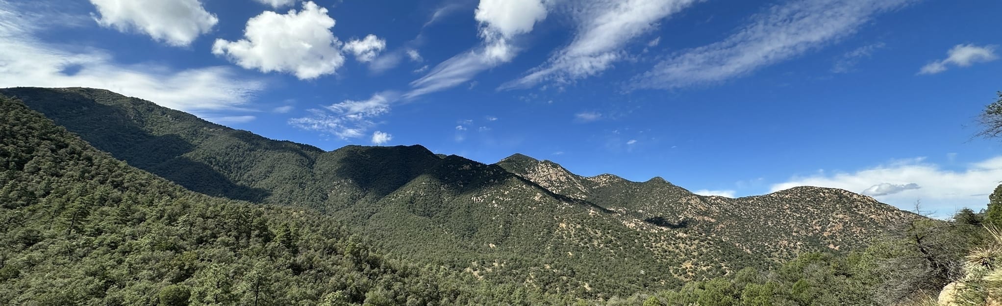 The Shovel Trail: 528 fotos - Arizona | AllTrails