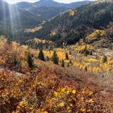 Pittsburg Lake Trail, Utah - 263 Reviews, Map | AllTrails