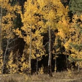 Pittsburg Lake Trail, Utah - 263 Reviews, Map | AllTrails