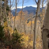 Pittsburg Lake Trail, Utah - 263 Reviews, Map | AllTrails