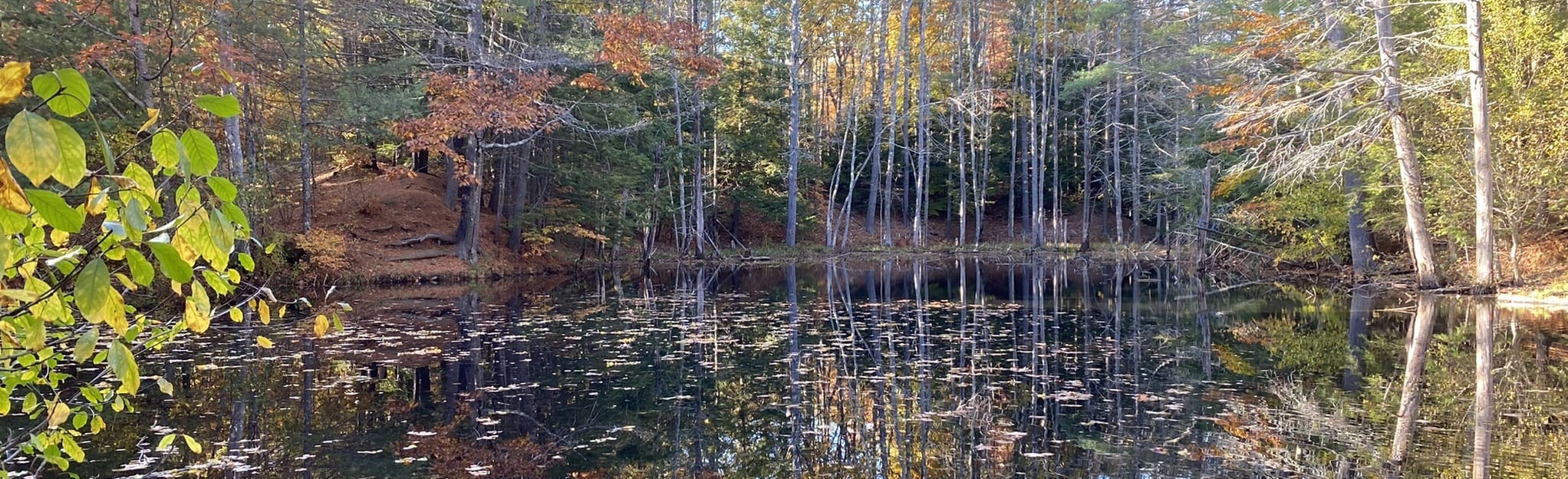 Squirrel Love, Couch Potato, Frazier, MBWEE, and Candyland Trail Loop ...