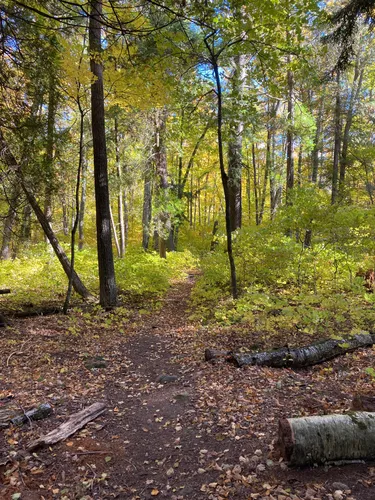 Best Hikes and Trails in Madeline Island Wilderness Preserve | AllTrails