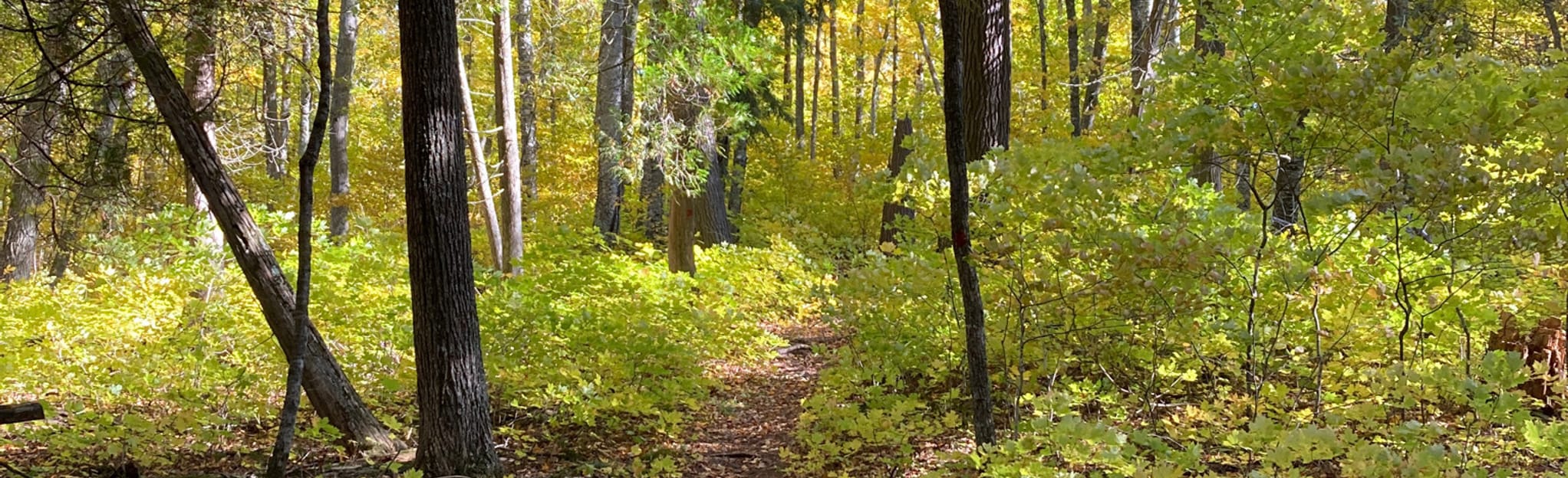 Madeline Island: The Burroughs Memorial Trail, Wisconsin - 18 Reviews ...