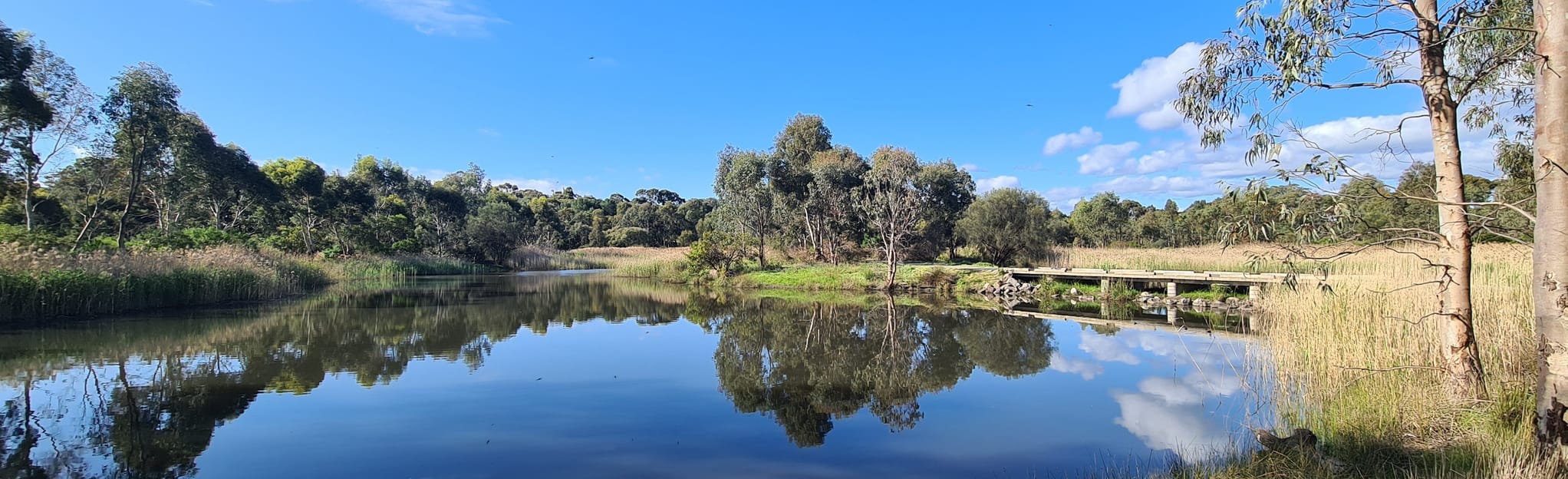 Happy Valley Wetlands via Tangari Regional Park - South Australia ...