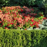 Red Butte Gardens Small Loop, Utah - 214 Reviews, Map | AllTrails