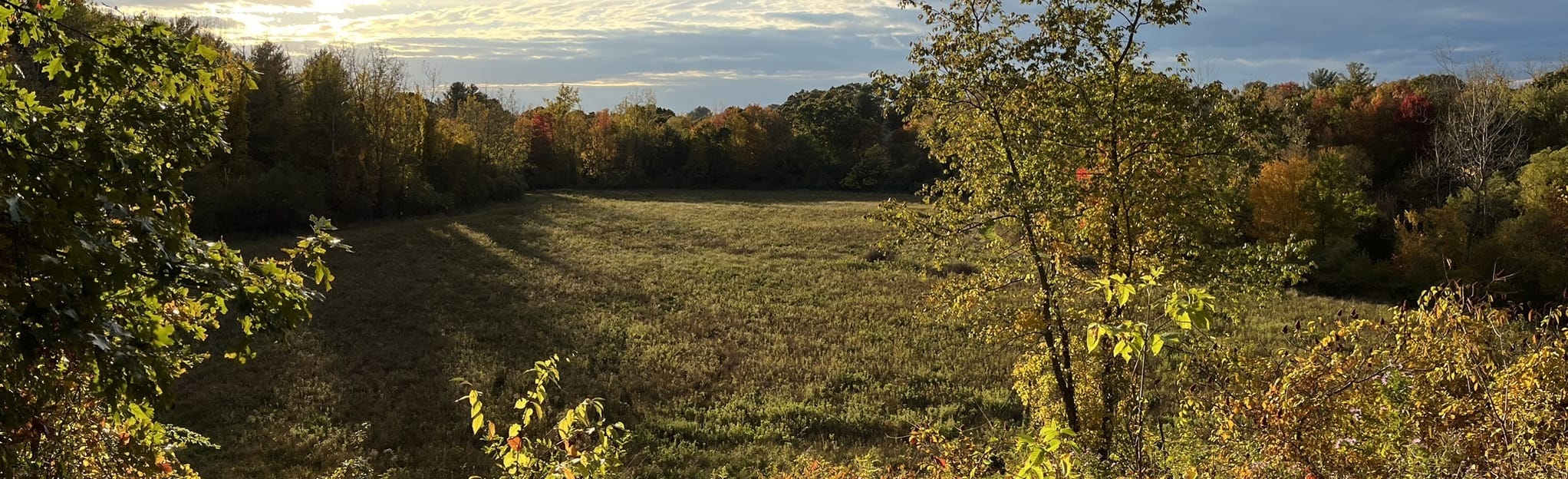 Bush Hill Farm Loop, Connecticut - 157 Reviews, Map | AllTrails