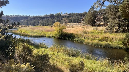 2023 Best 10 Trails and Hikes in Oregon | AllTrails