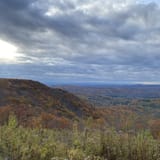 Berry Pond Trail, Massachusetts - 70 Reviews, Map | AllTrails