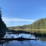 Yellow Point Bog Ecological Reserve and Yellow Point Park Loop, British ...