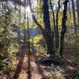 Yellow Point Bog Ecological Reserve and Yellow Point Park Loop, British ...