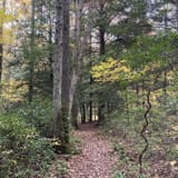 Quebec Run Outer Loop, Pennsylvania - 330 Reviews, Map | AllTrails