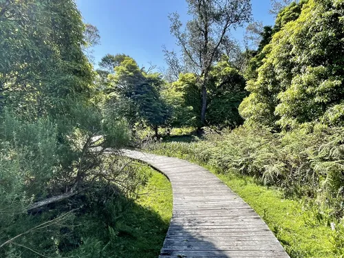 Best Easy Trails in Beowa National Park | AllTrails