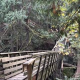 Colliery Dam Loop, British Columbia, Canada - 345 Reviews, Map | AllTrails