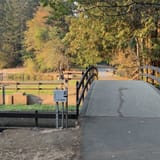 Colliery Dam Loop, British Columbia, Canada - 345 Reviews, Map | AllTrails