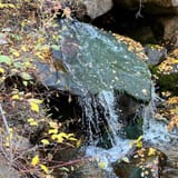 Burch Creek Trail, Utah - 657 Reviews, Map | AllTrails