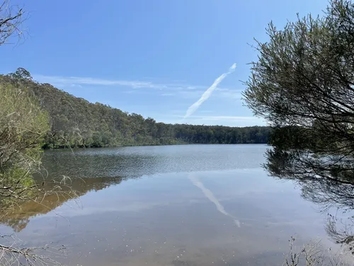 Best Kid Friendly Trails in Gipsy Point | AllTrails