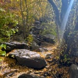 Burch Creek Trail, Utah - 657 Reviews, Map | AllTrails