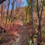 Burch Creek Trail, Utah - 663 Reviews, Map | AllTrails