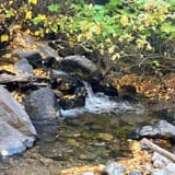 Burch Creek Trail, Utah - 657 Reviews, Map | AllTrails