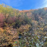 Burch Creek Trail, Utah - 655 Reviews, Map | AllTrails