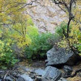 Burch Creek Trail, Utah - 663 Reviews, Map | AllTrails