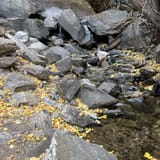 Burch Creek Trail, Utah - 663 Reviews, Map | AllTrails