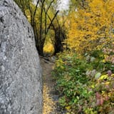 Burch Creek Trail, Utah - 663 Reviews, Map | AllTrails