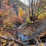 Burch Creek Trail, Utah - 663 Reviews, Map | AllTrails