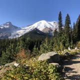 Mount Ruth via Glacier Basin and Emmons Moraine Trails, Washington - 70 ...