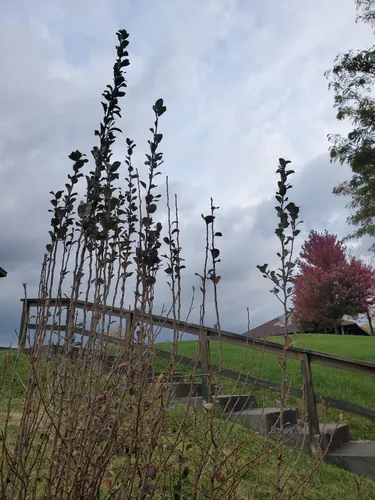 Best Hikes and Trails in North Strabane Park | AllTrails