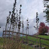 North Strabane Park Loop, Pennsylvania - 57 Reviews, Map | AllTrails