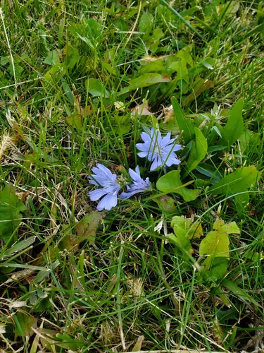 Best Hikes and Trails in North Strabane Park | AllTrails