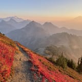 High Pass Trail, Washington - 147 Reviews, Map | AllTrails