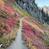 High Pass Trail, Washington - 147 Reviews, Map | AllTrails