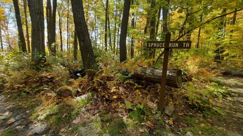 10 Best Hikes and Trails in Forbes State Forest | AllTrails