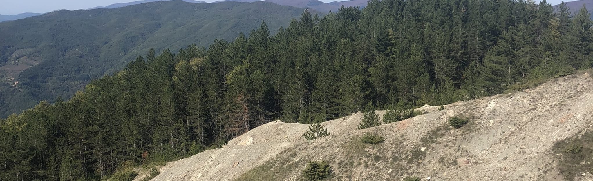 La Verna - Rota, Tuscany, Italy - Map, Guide | AllTrails