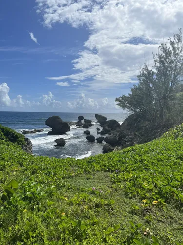 10 Best Trails and Hikes in Barbados | AllTrails